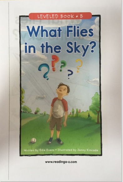 绘本故事《What Flies in the Sky?-RAZ Leveled Book B18》- 适合 5-7岁 – 布克船长